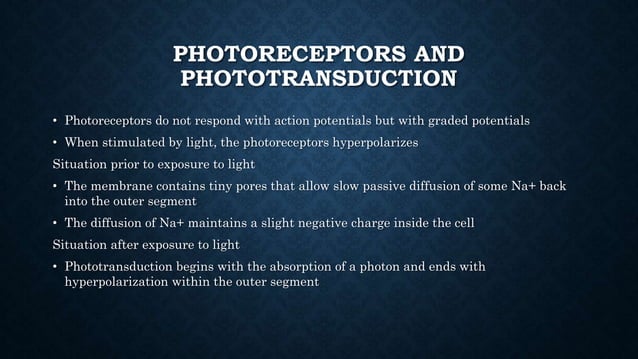 VISUAL PERCEPTION AND NEUROPHYSIOLOGY | PPTX | Eye and Vision ...