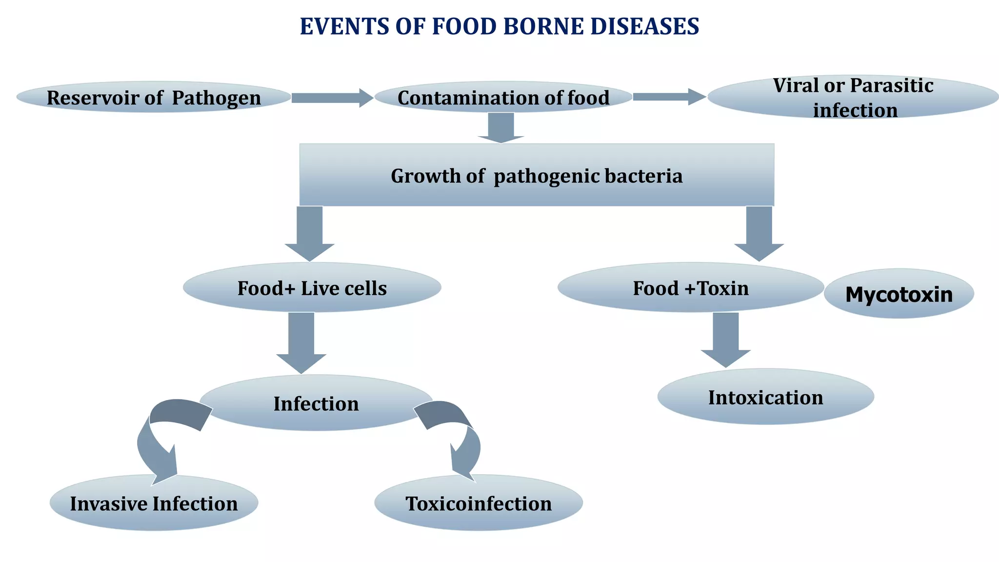 FOOD BORNE DISEASES & IT'S PREVENTION | PPTX