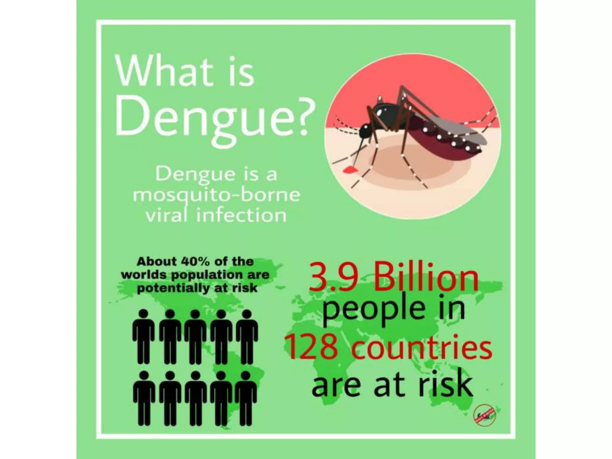 Dengue Poster | PPT