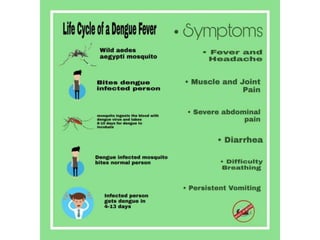 Dengue Poster | PPT
