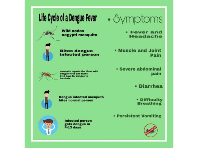 Dengue Poster | PPT