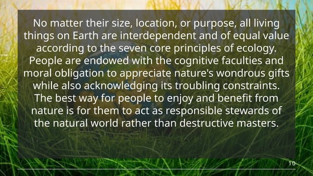 Group 6 the seven environmental principle.pptx