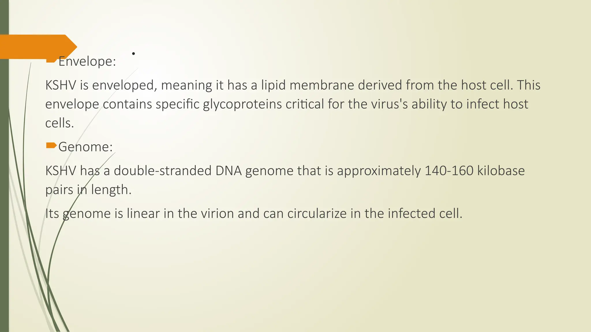 karposis sarcoma presentation by group 6.pptx