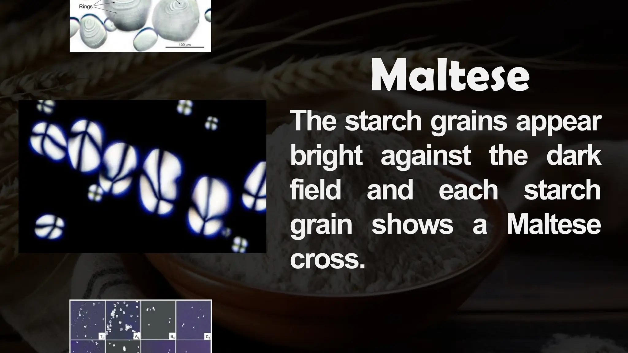 prepare cereals starches and alimentary paste | PPTX
