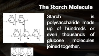 prepare cereals starches and alimentary paste | PPTX