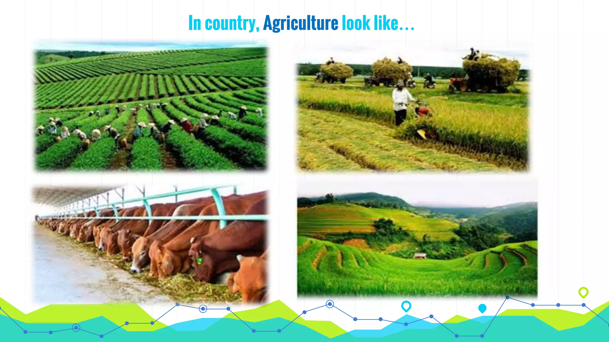 Advantages and disadvantages living in big cities or countryside | PPTX