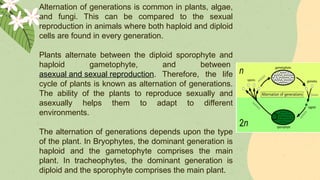 Botany - meiosis and alternation of generation.pptx