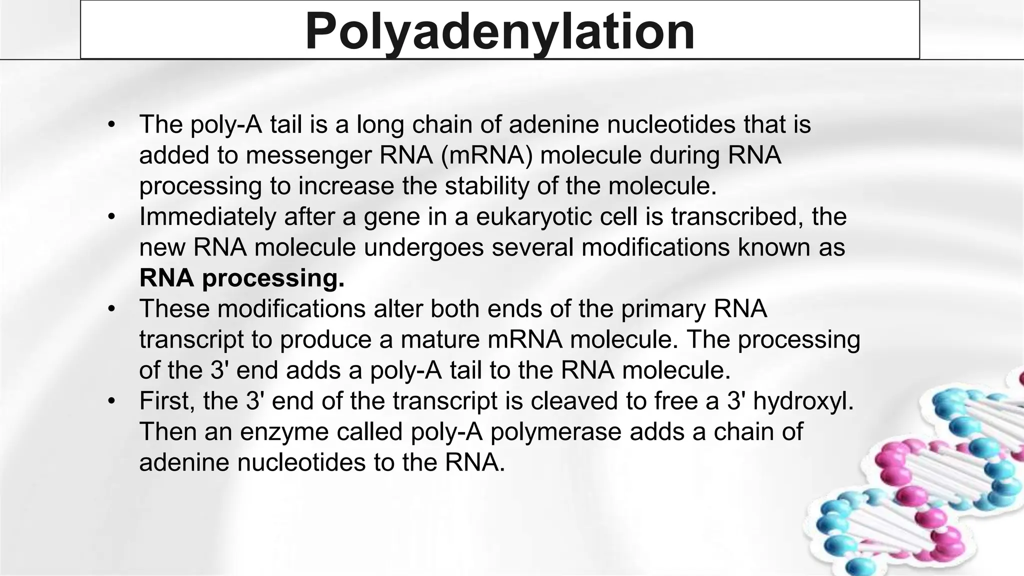 Group 6 - Post Transcriptional Modifications (RNA Splicng and ALternative Splicing).pptx