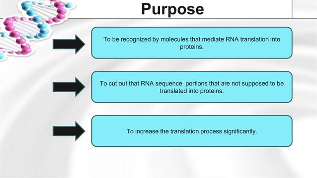 Group 6 - Post Transcriptional Modifications (RNA Splicng and ALternative Splicing).pptx