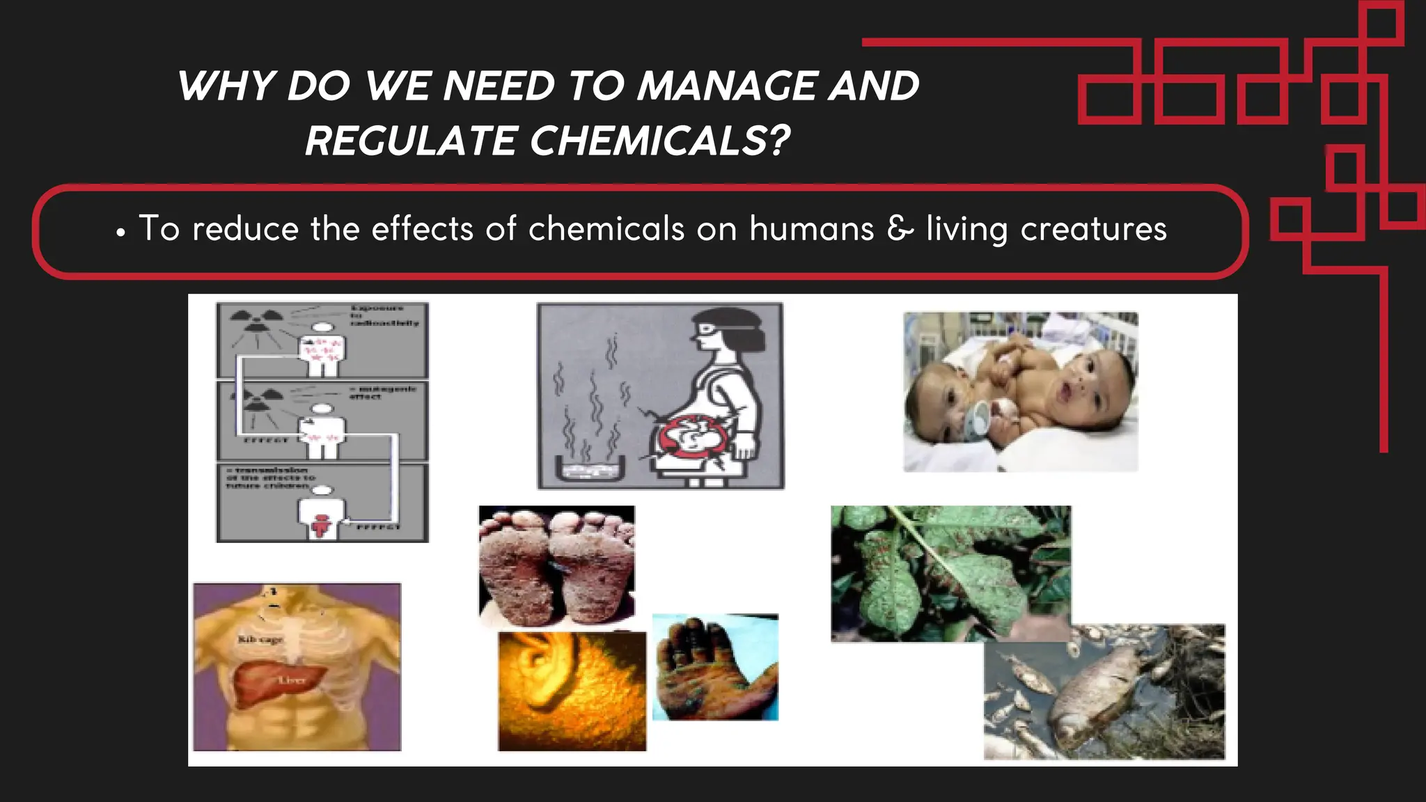 PH Toxic Substances and Hazardous and Nuclear Wastes Control Act of ...