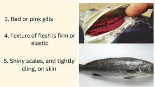 how to handle seafood dishes_20240223_204938_0000.pptx