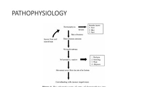 Basic Medical presentation on Dermatophytosis | PPTX