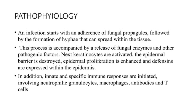 Basic Medical presentation on Dermatophytosis | PPTX