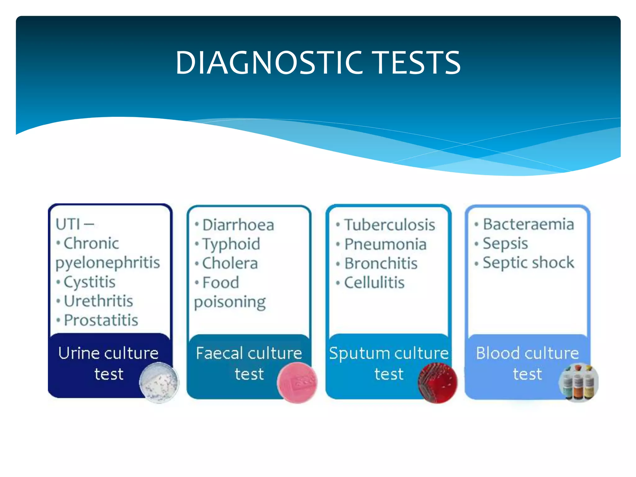 Designing a Microbiology laboratory | PPTX