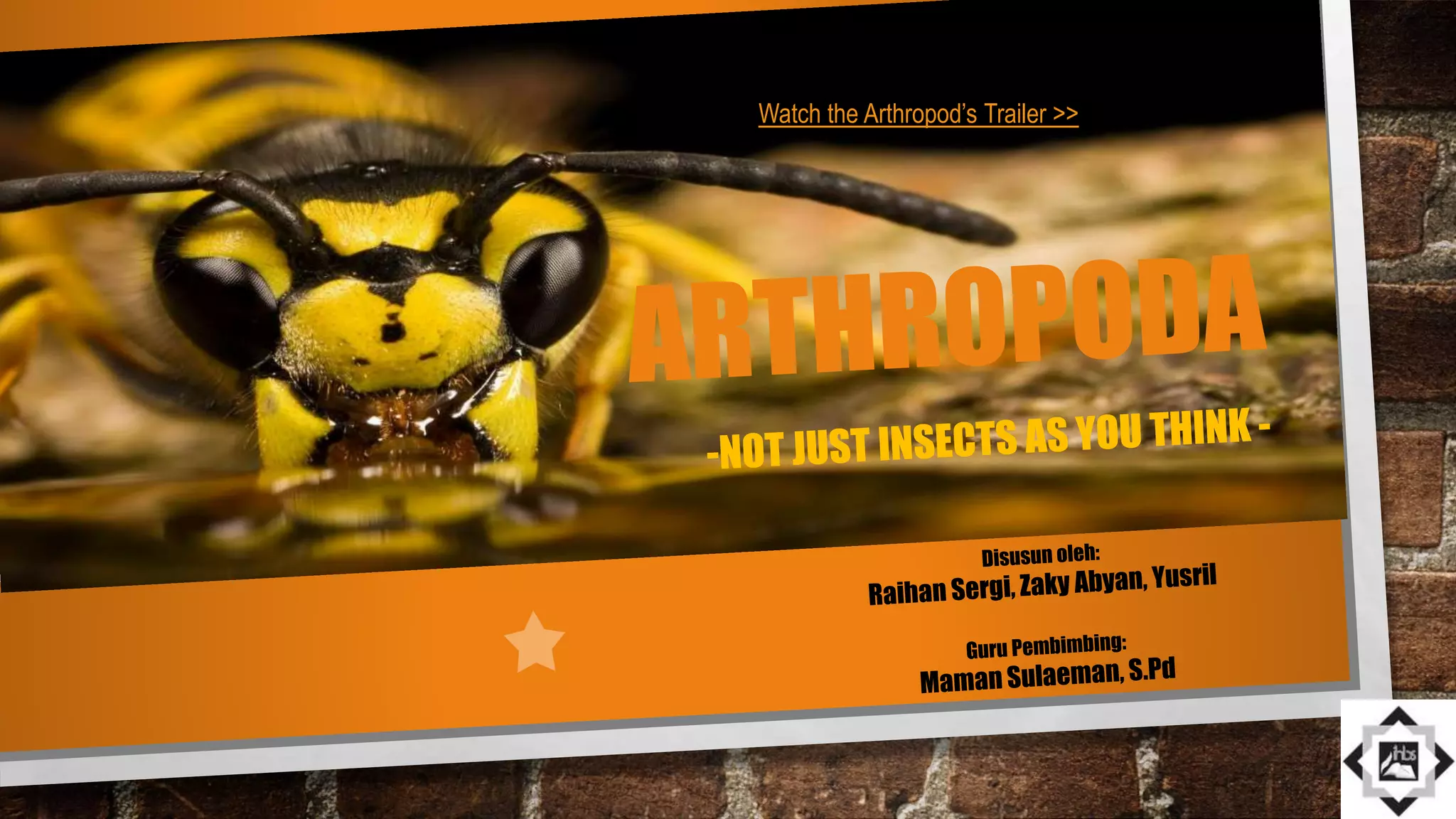 Group 6 phylum arthropoda | PPT