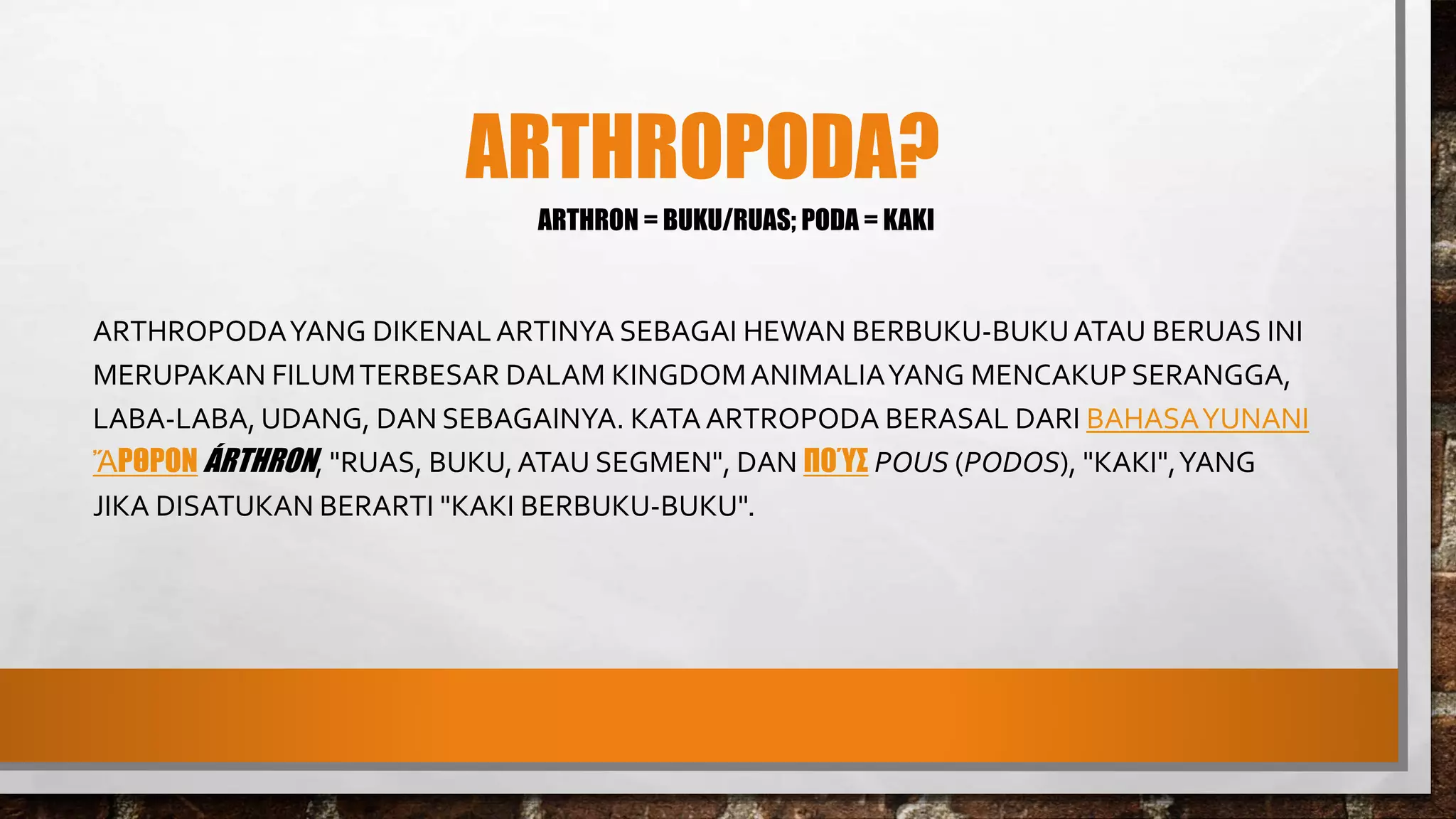 Group 6 phylum arthropoda | PPT