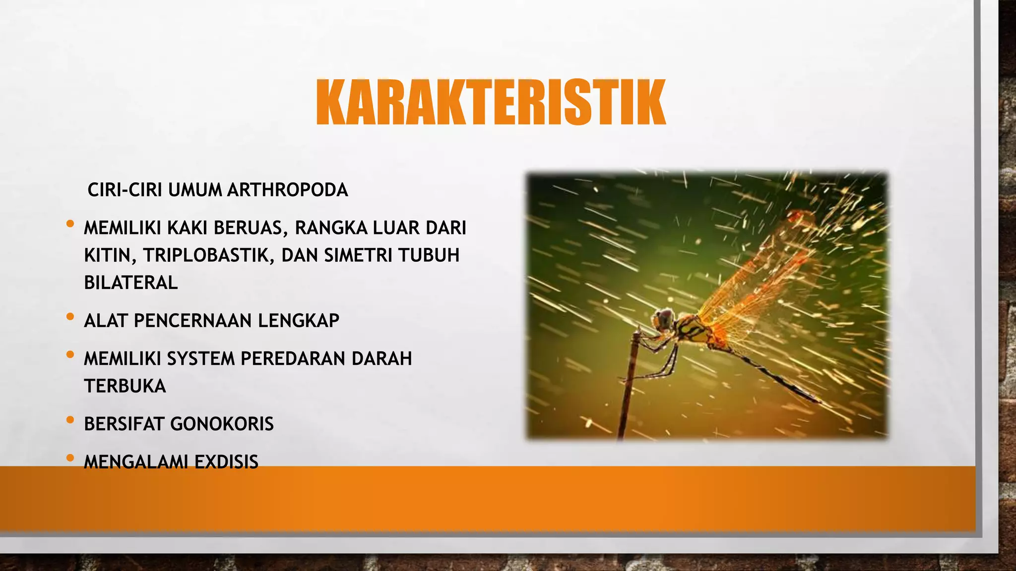 Group 6 phylum arthropoda | PPT