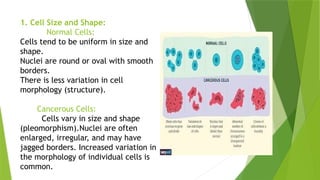 Histology and cytopathology presentation | PPT