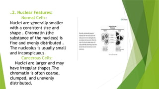Histology and cytopathology presentation | PPTX