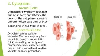 Histology and cytopathology presentation | PPTX
