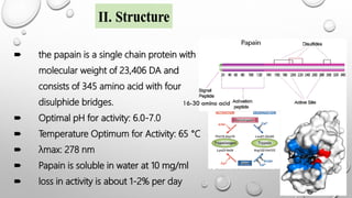 topic papain enzyme | PDF