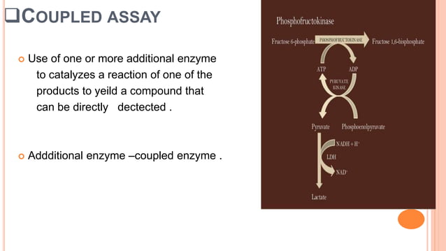 Enzyme assay VII | PPTX