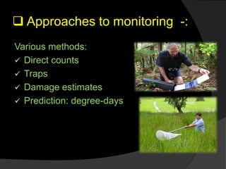 Economic importance of insect-pest , monitoring , survey & surveillance ...