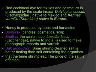 Economic importance of insect-pest , monitoring , survey & surveillance ...