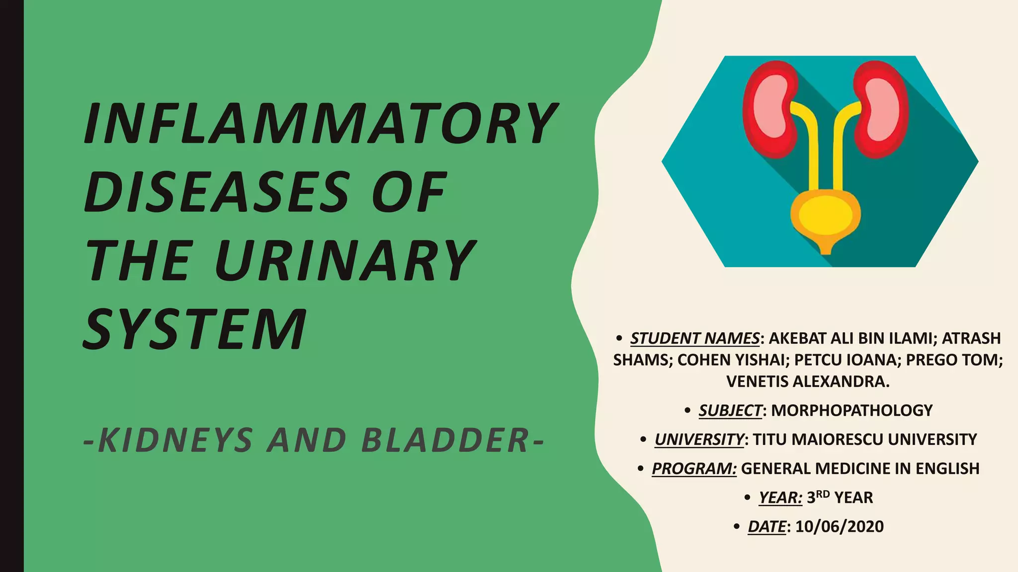inflammatory diseases of the kidney& urinary bladder | PPTX
