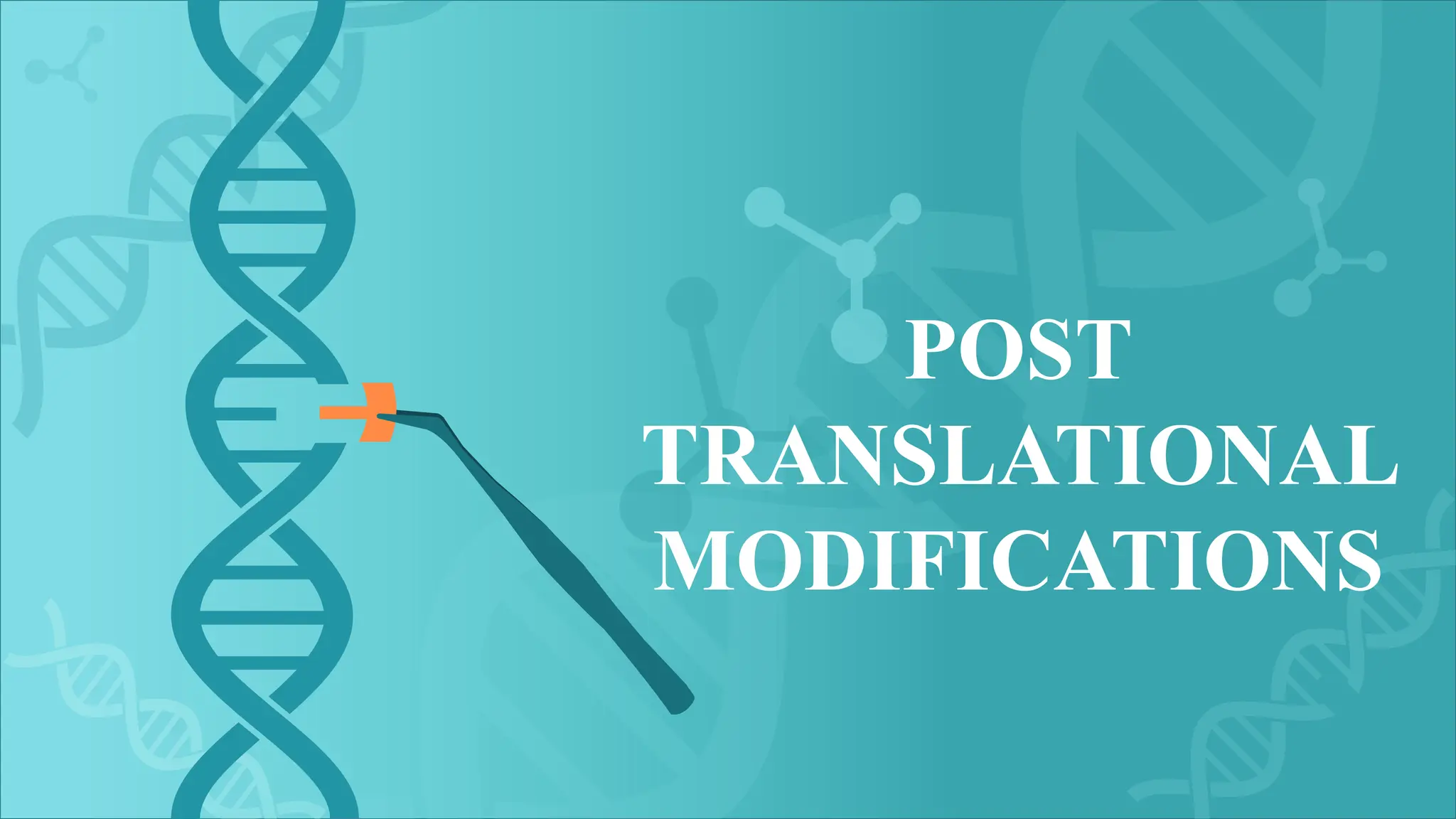 Group 7 Post Translational Modifications Pptx