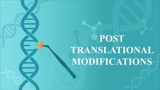 Group 7 - Post Translational Modifications.pptx