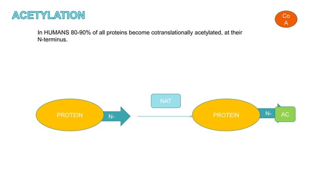 Group 7 - Post Translational Modifications.pptx