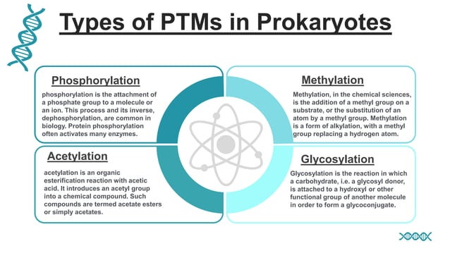 Group 7 - Post Translational Modifications.pptx