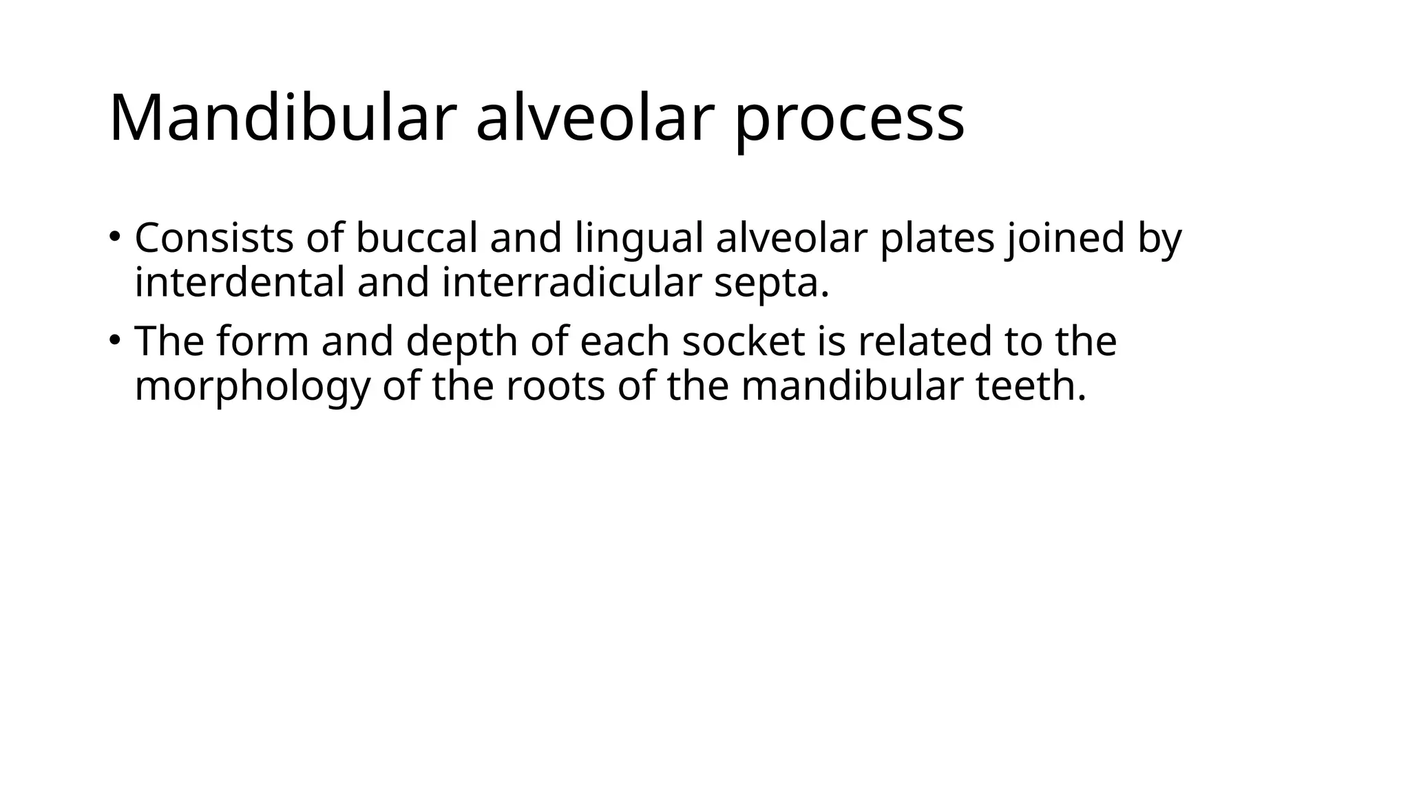 Veronahighsvhoolgroup7 alveolar bone 2.pptx