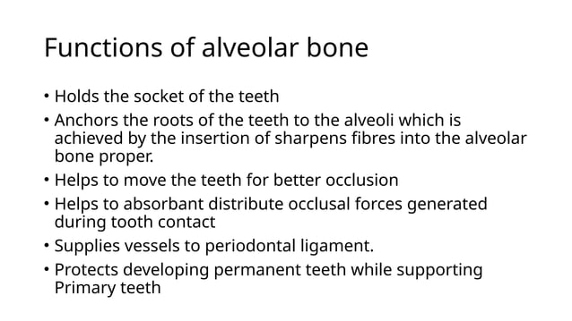 Veronahighsvhoolgroup7 alveolar bone 2.pptx