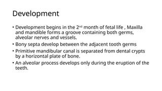 Veronahighsvhoolgroup7 alveolar bone 2.pptx