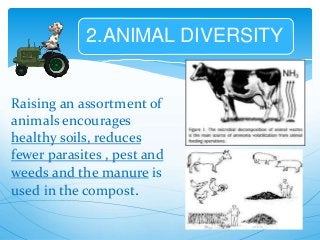 BIODYNAMIC AGRICULTURE | PPTX