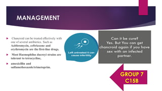 CHANCROID PRESENTATION FROM STUDENT @ CHNTS ESIAMA- C15B GROUP | PDF