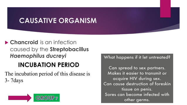 CHANCROID PRESENTATION FROM STUDENT @ CHNTS ESIAMA- C15B GROUP | PDF