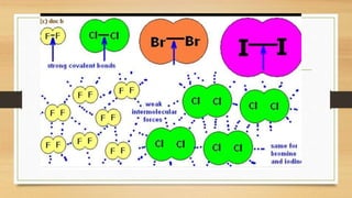 Group 7 elements | PPTX