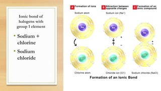 Group 7 elements | PPT