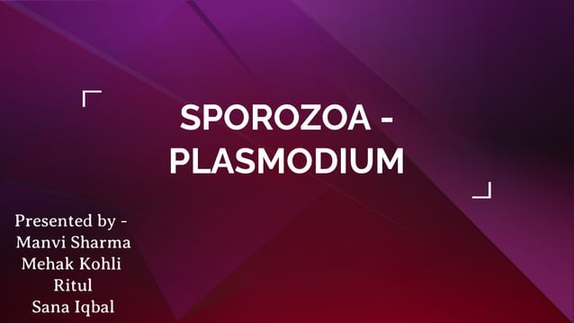 Plasmodium | PPT