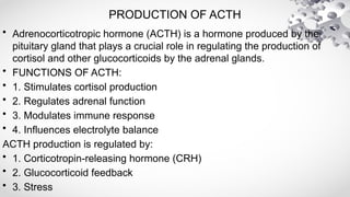 ORAL PRESENTATION NEW.,..............pptx