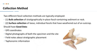 Paleontological Techniques | PPTX