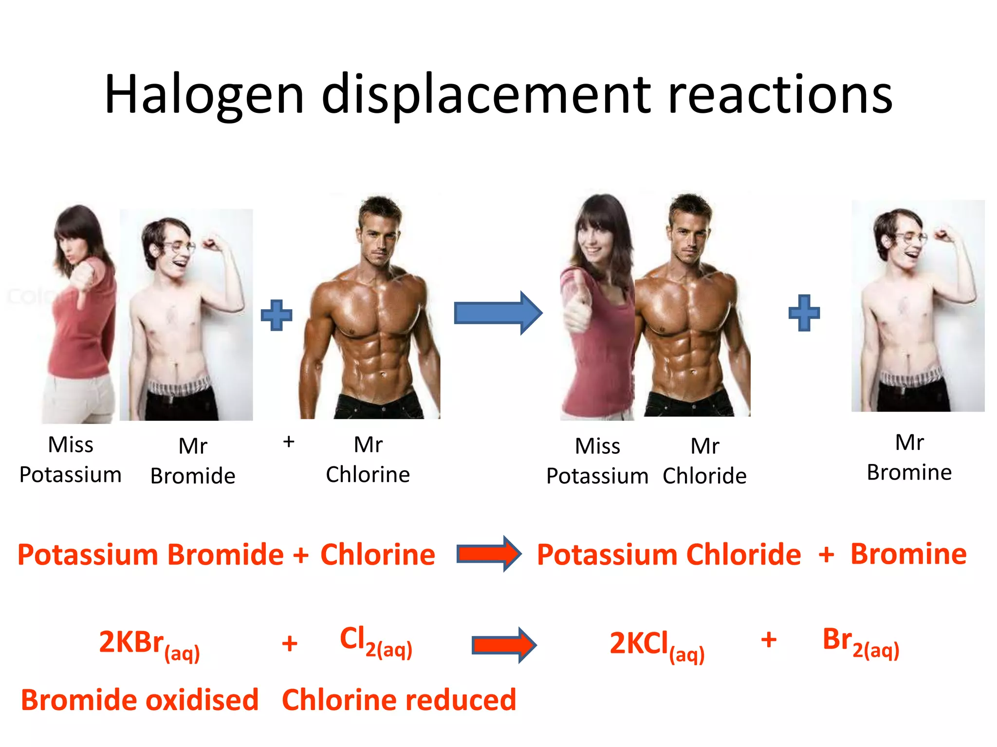 Group 7 The Halogens KLASS.pptx