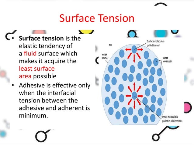 Adhesives | PPTX | Chemistry | Science