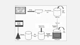 Large Scale Extraction | PPTX