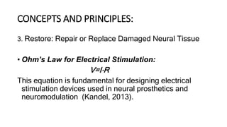 Group presentation on neural engineering.pptx