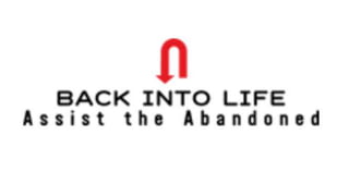 2018 Ambassador Leaders Community Action Plan - Back Into Life | PPT