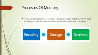 Memory ,factors affecting the Memory ,and the types of memories | PPTX
